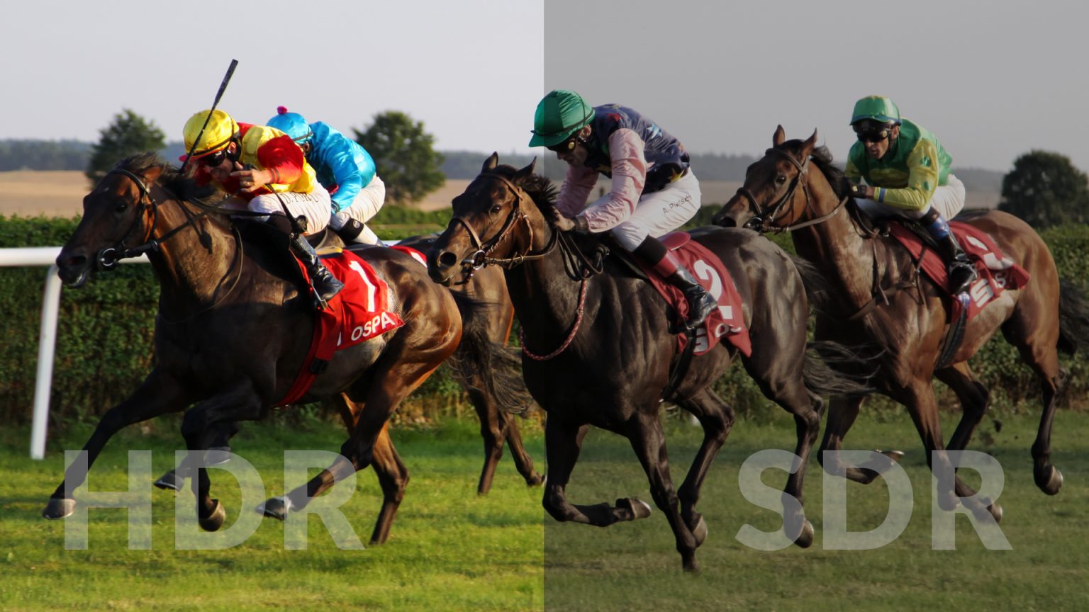 E2 Essentials Series – BuzzTV